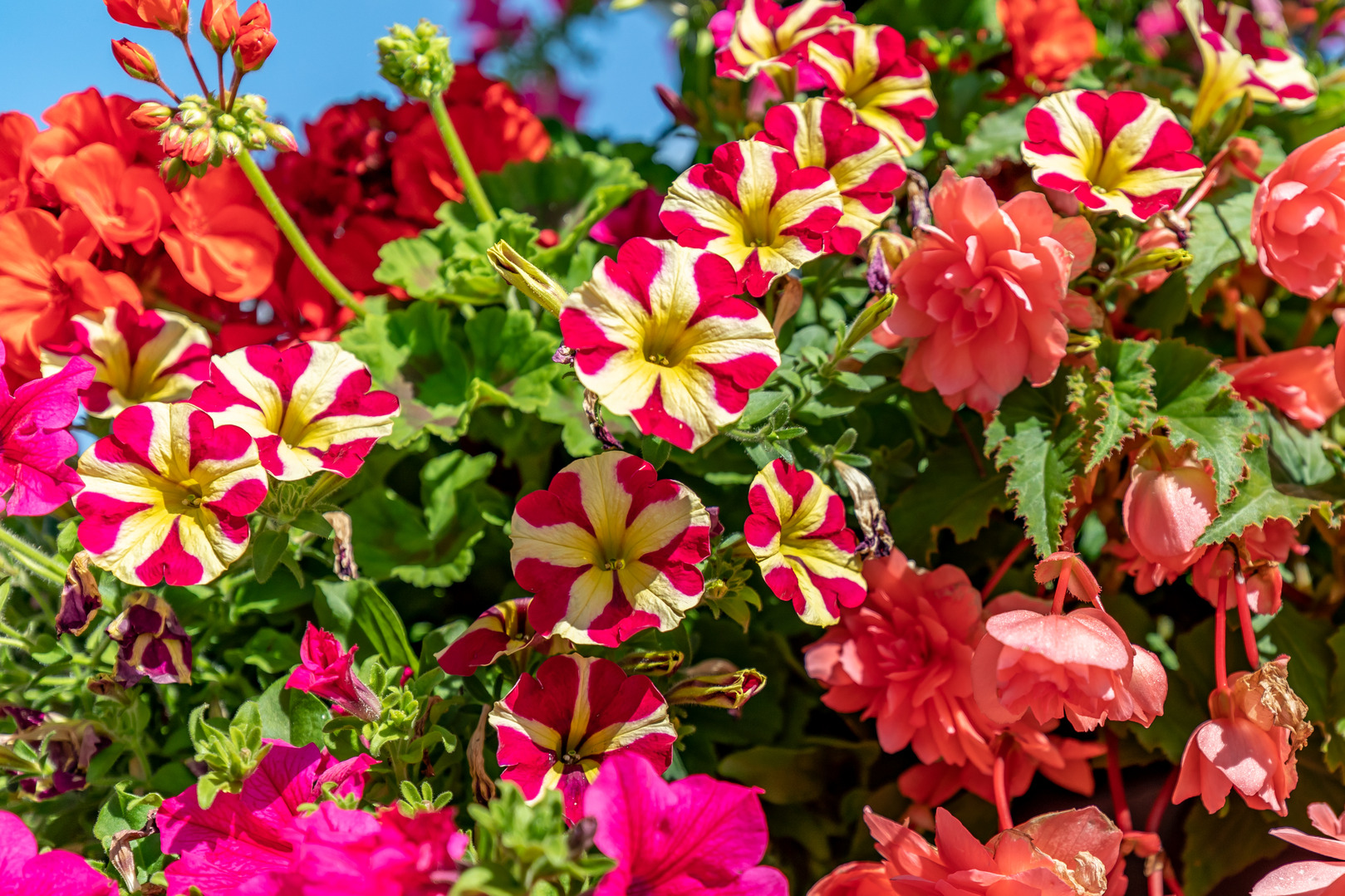 Living in Bishops Cleeve - Bishops Cleeve Area Guide | Peter Ball & Co